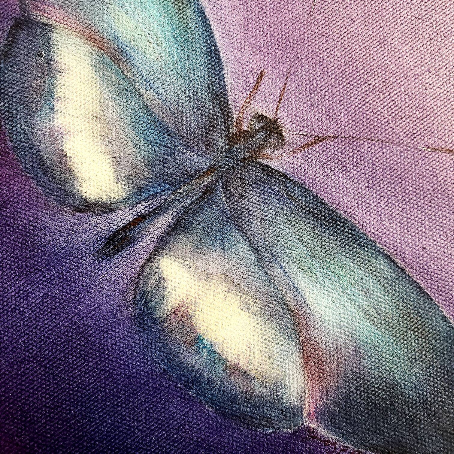 Butterfly Still Life- Art PRINT, Original Oil Painting, Moth Insect - Etsy