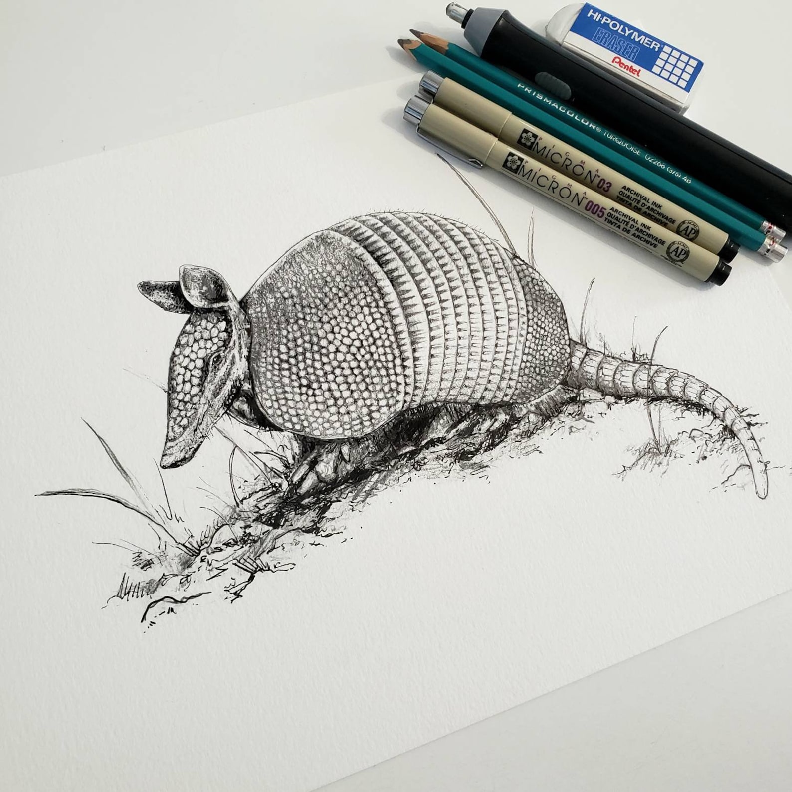Armadillo- Nine-banded Original Pen and Ink Illustration Art PRINT ...