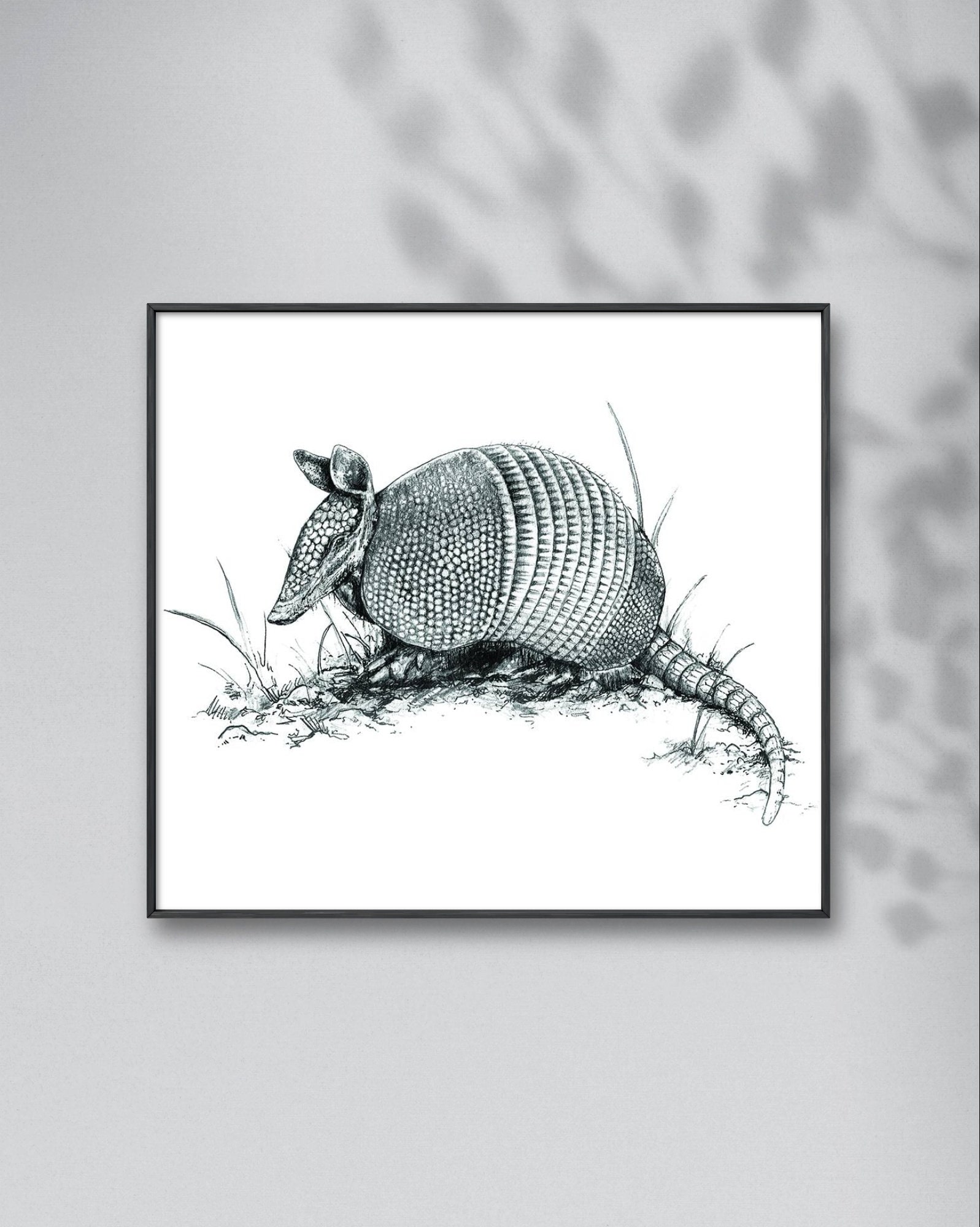 Armadillo- Nine-banded Original Pen and Ink Illustration Art PRINT ...