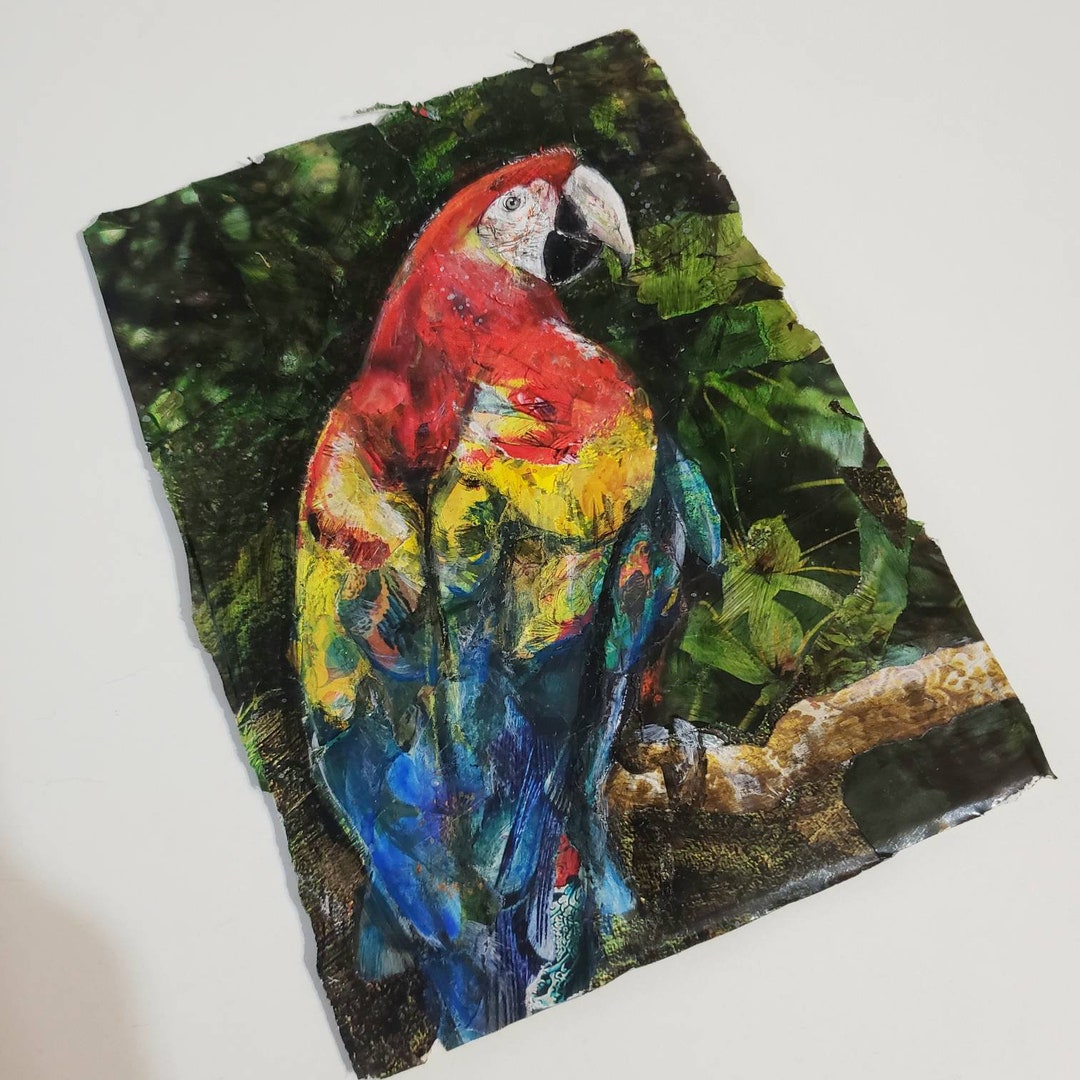 Scarlet Macaw- Art PRINT Collage Tropical Parrot Paradise Colorful Bird ...