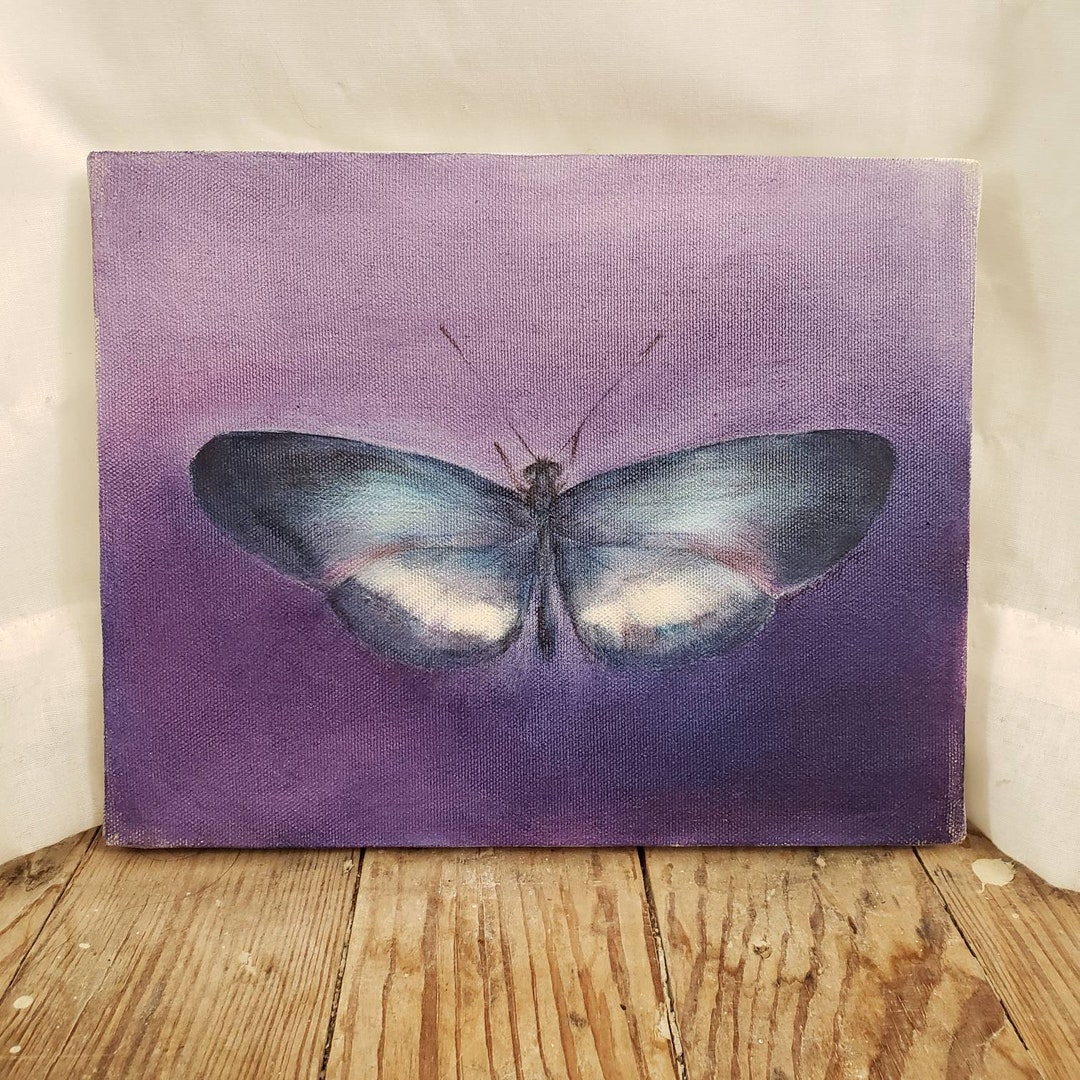 Butterfly Still Life Art PRINT Original Oil Painting Moth - Etsy