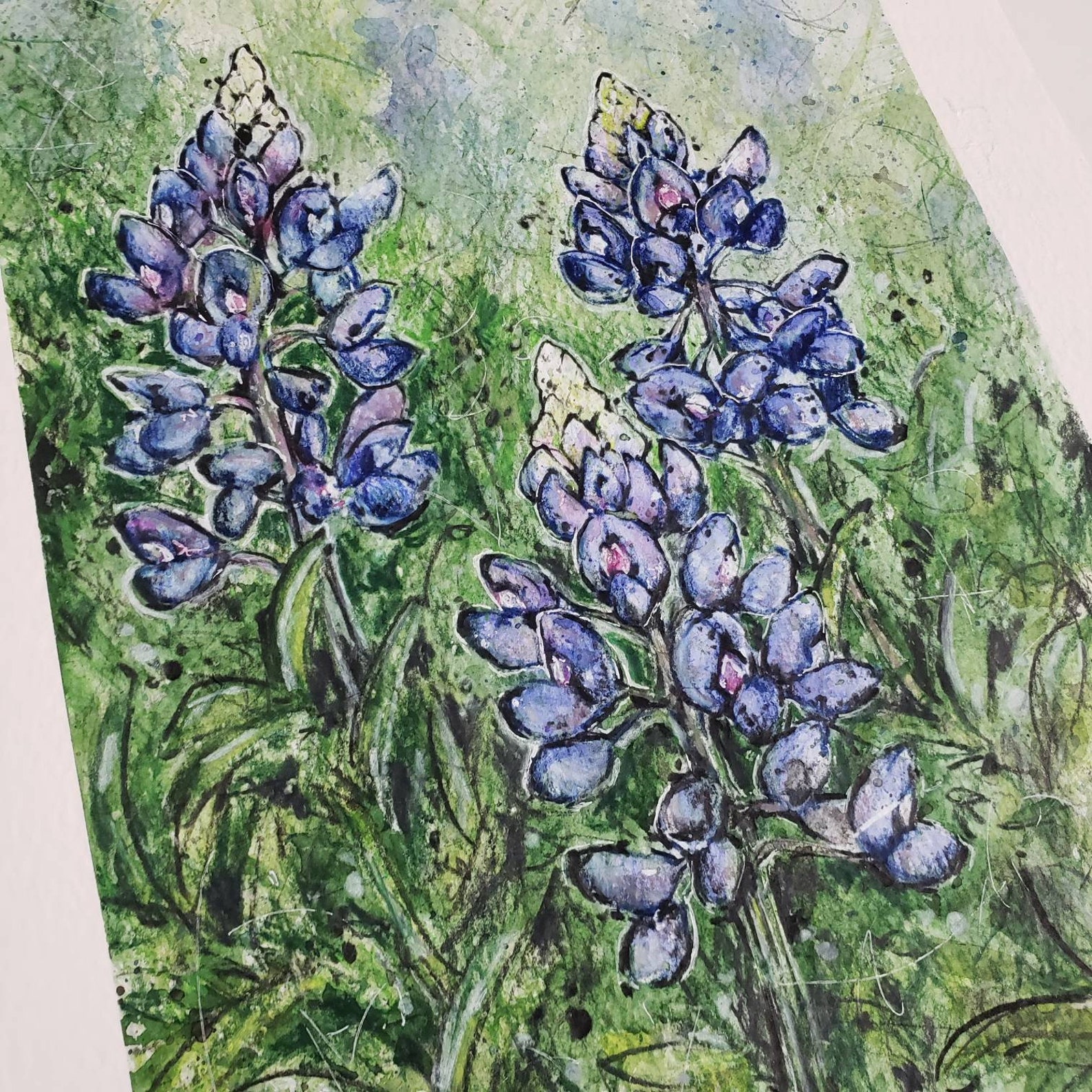 Texas Bluebonnet- Art PRINT, Watercolor Illustration Artwork, Texas ...
