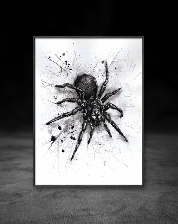 Funnel Spider Web Drawing