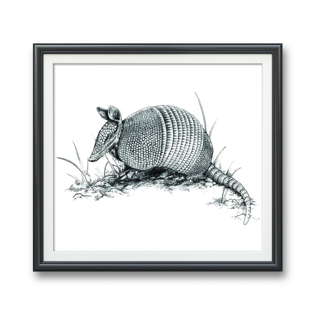 Armadillo- Nine-banded Original Pen and Ink Illustration Art PRINT ...