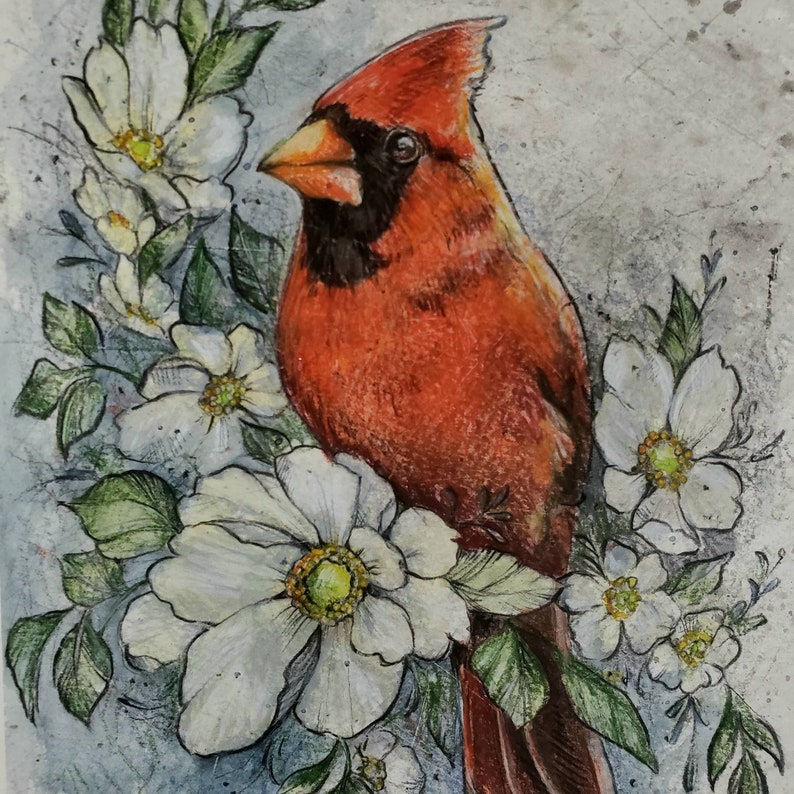 Red Cardinal Art PRINT Original Watercolor Illustration | Etsy