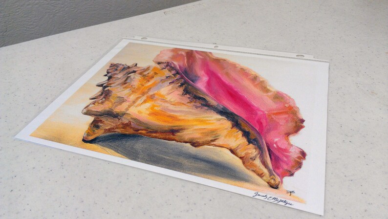 Queen Conch Shell Art PRINT Original Oil Painting Seashell | Etsy