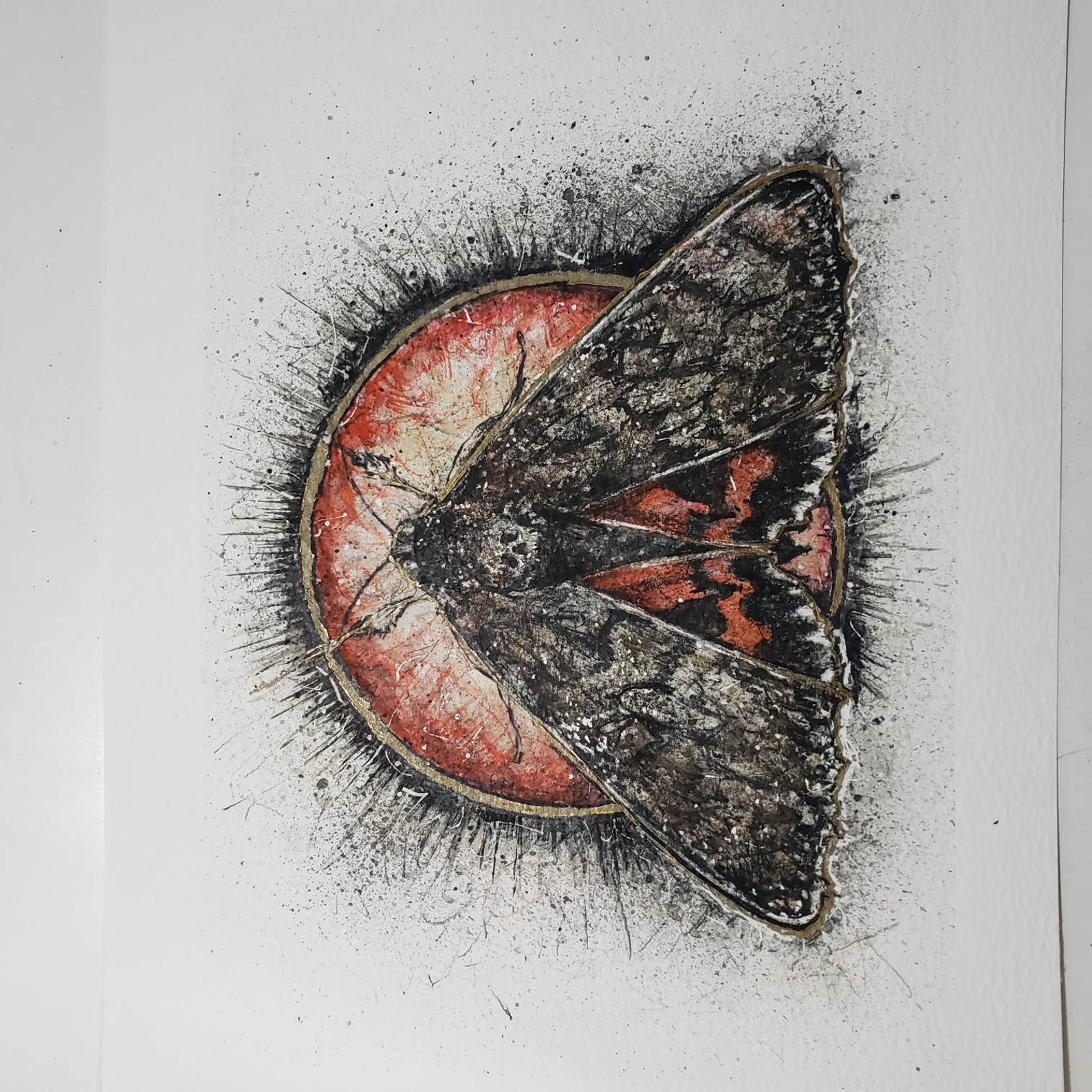 Death Head Skull Moth Art PRINT Original Watercolor - Etsy