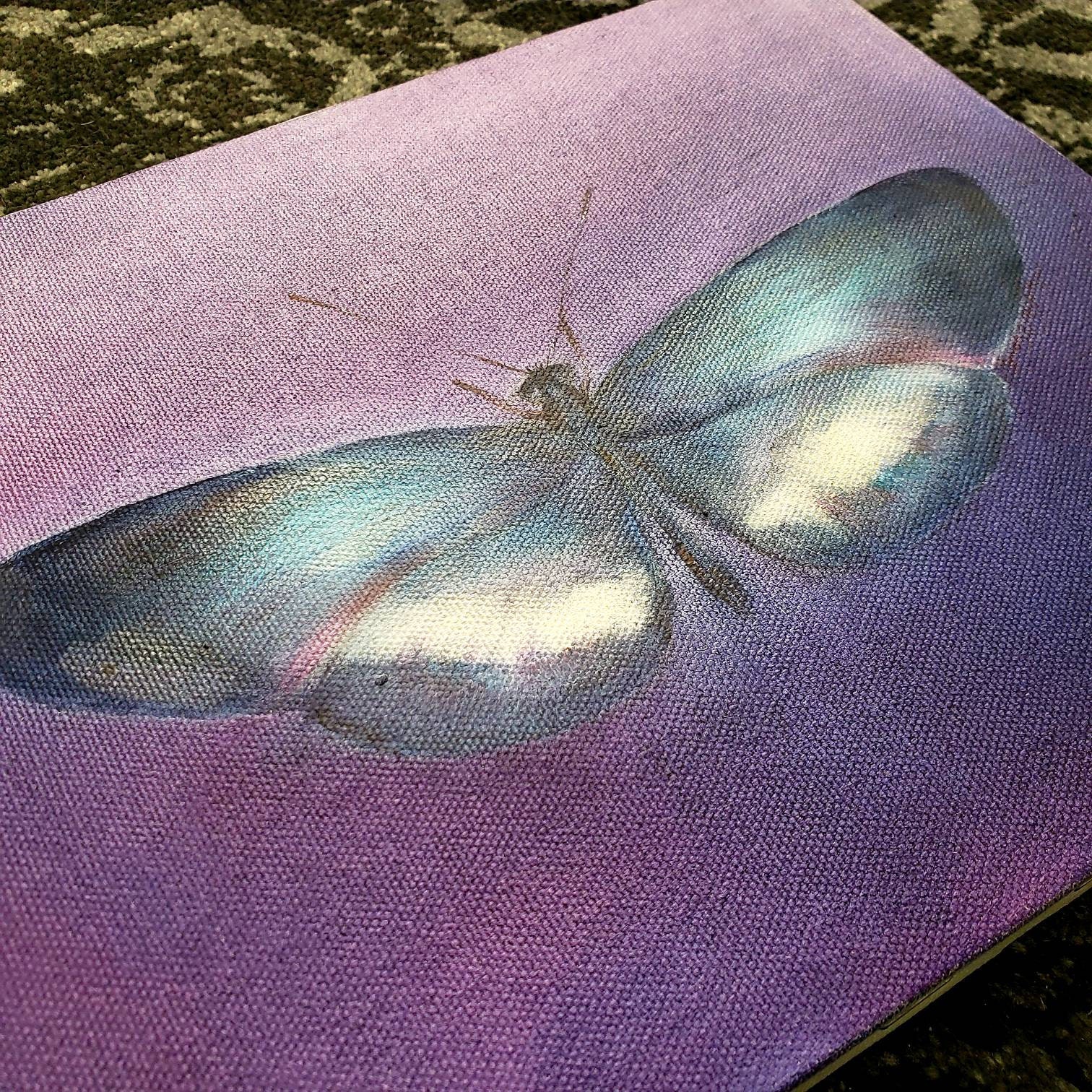 Butterfly Still Life Art PRINT Original Oil Painting Moth | Etsy