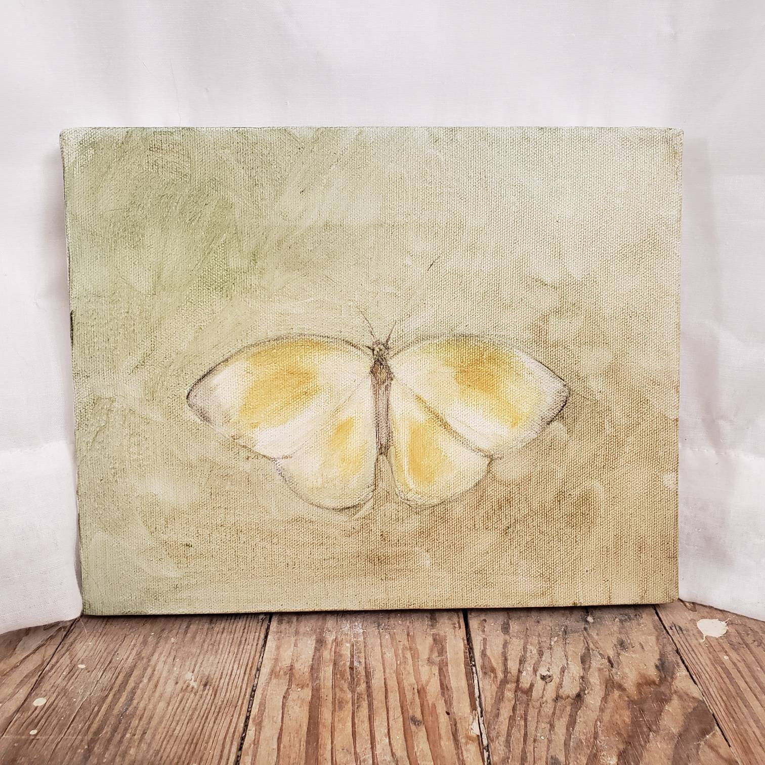 Clouded Sulfur Butterfly Still Life Art PRINT Original Oil | Etsy