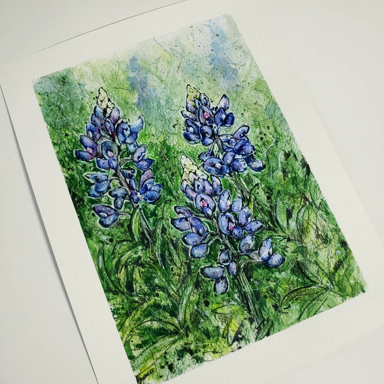 Texas Bluebonnet Art PRINT Watercolor Illustration Artwork - Etsy