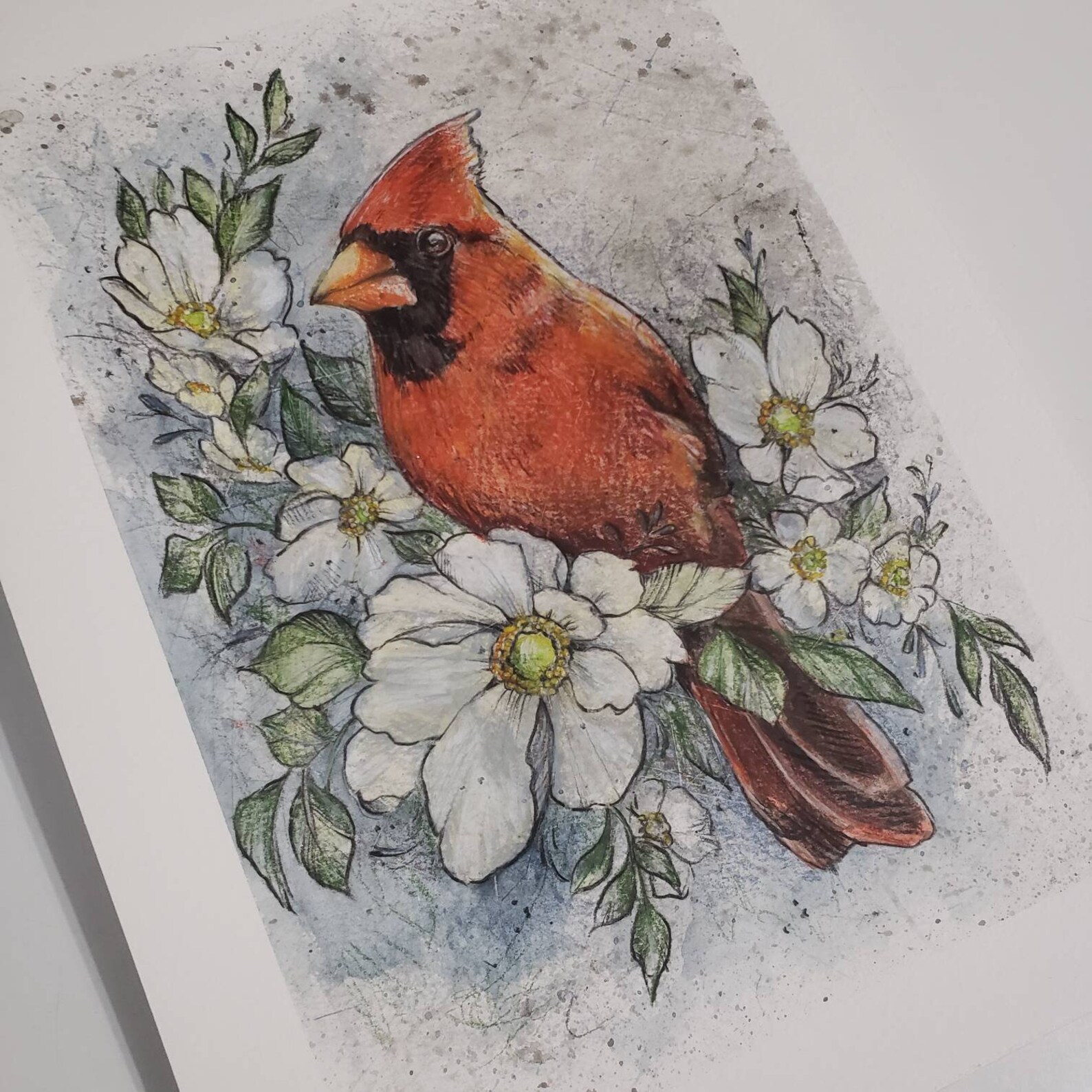 Red Cardinal Art PRINT Original Watercolor Illustration | Etsy