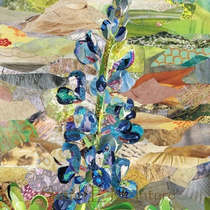 Texas Bluebonnet Collage Wall Art Print, Texas Hill Country, State ...