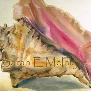 Queen Conch Shell Art PRINT, Original Oil Painting, Seashell Coastal ...