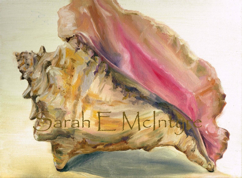 Queen Conch Shell Art PRINT Original Oil Painting Seashell - Etsy