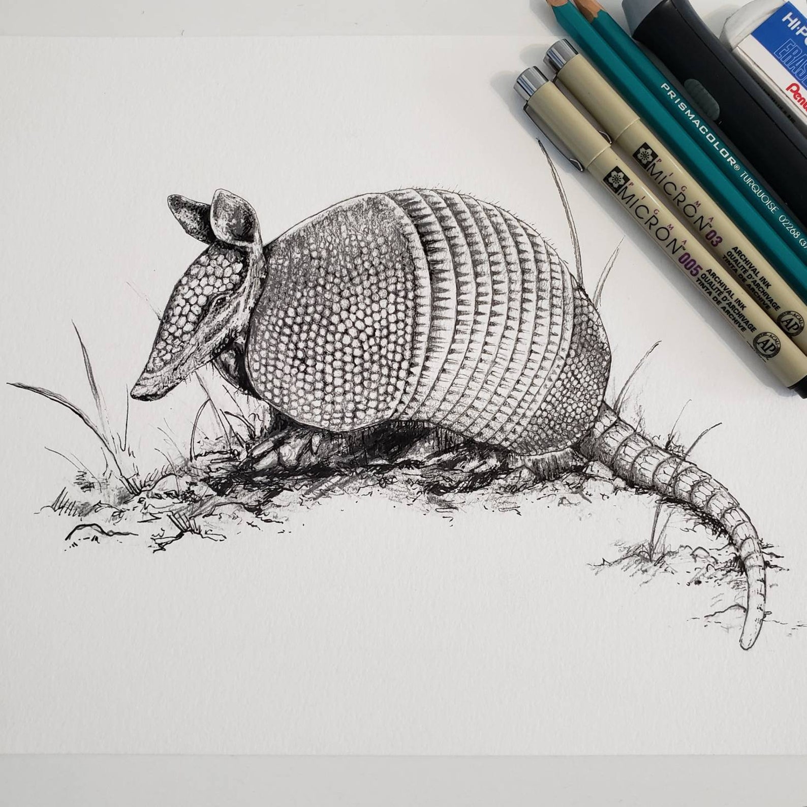 Armadillo Nine-banded Original Pen and Ink Illustration Art - Etsy
