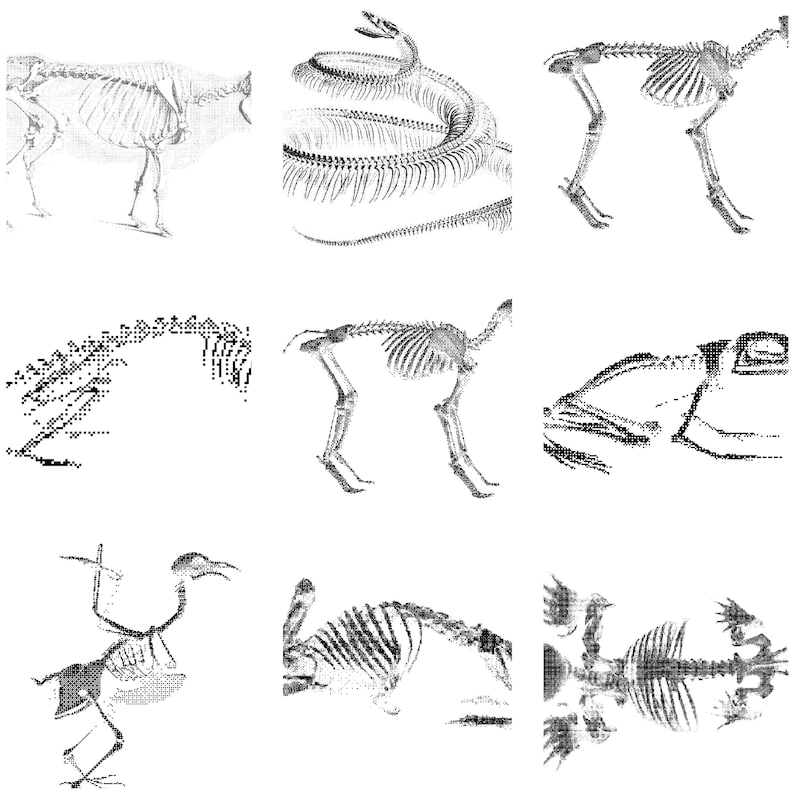 Bitmap Skeleton Clipart Pack | Gothic Horror Design Elements (digital ...