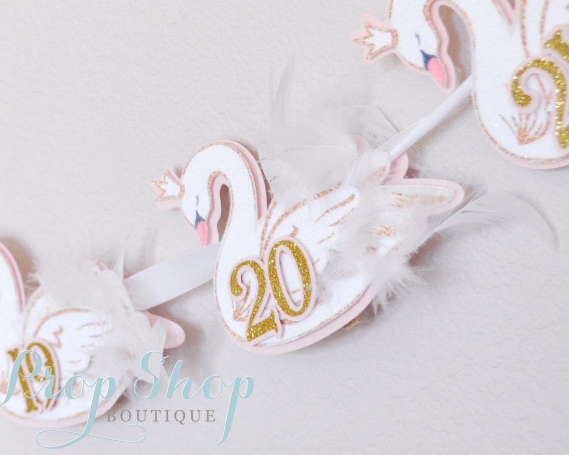Swan Lake 12 Month Photo Banner Swan Photo Banner Pink and | Etsy