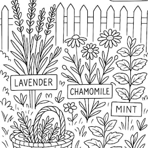 Herbal Medicine & Plants Coloring Pages - Etsy