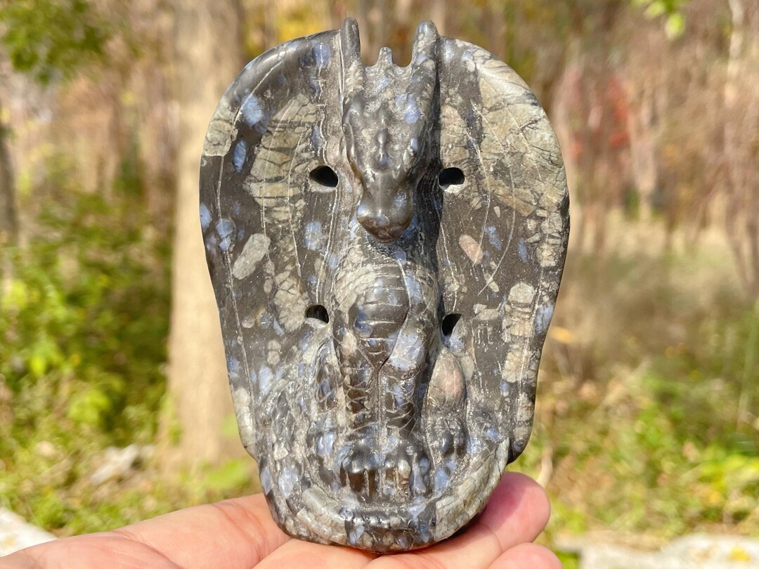 Rhyolite Quartz Crystal Dragon Carving: Fly Dragon Skull Home Decor (3. ...