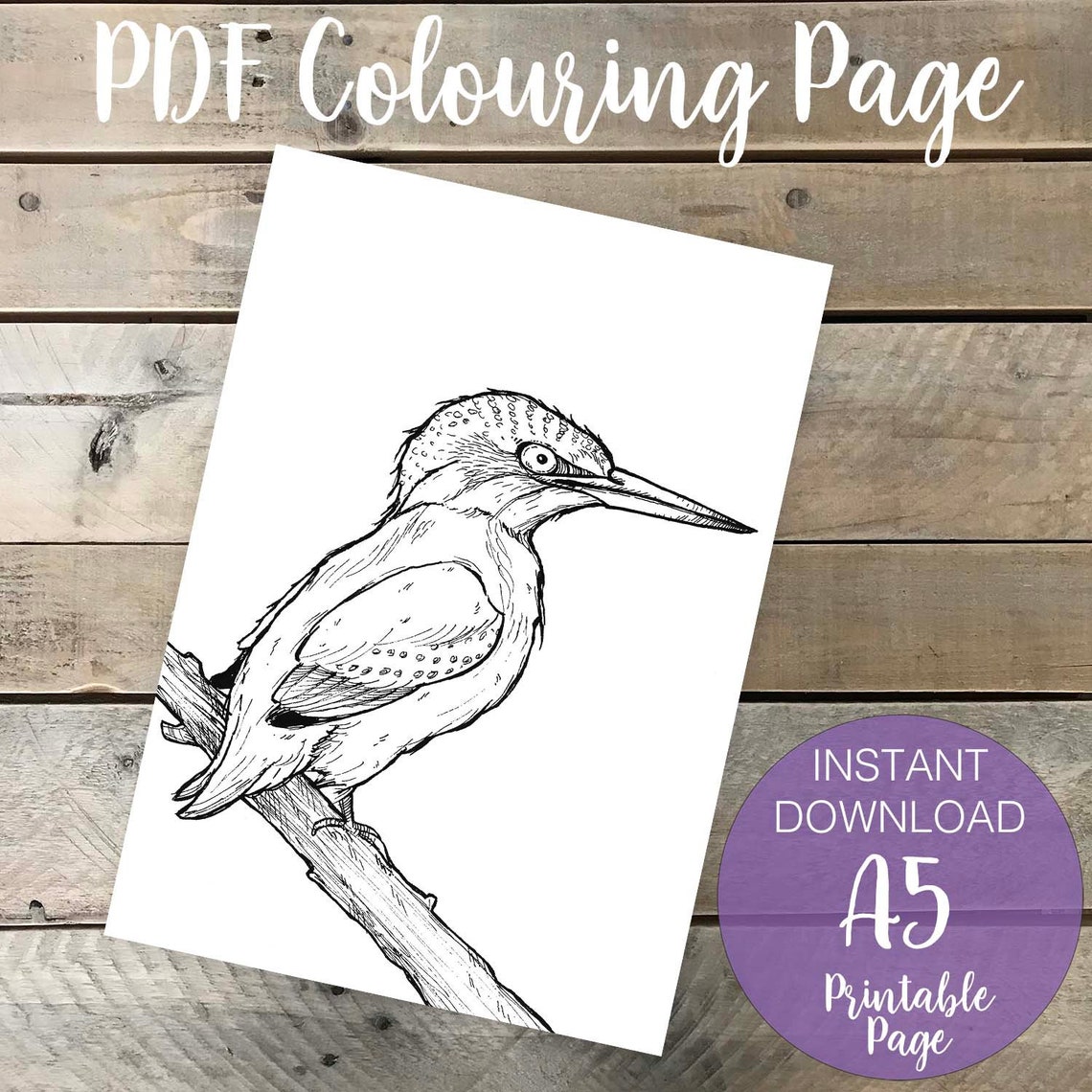 Kingfisher A5 Printable Coloring-in Sheet for Adults British | Etsy
