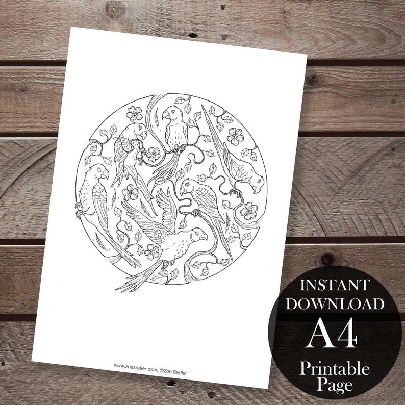 Birds of Paradise Coloring Page for Adults, Parekeet Bird Art Printable ...