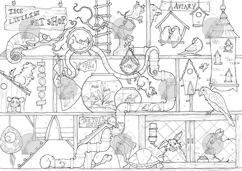 Pet Shop PDF Printable Colouring Page for Adults Instant - Etsy