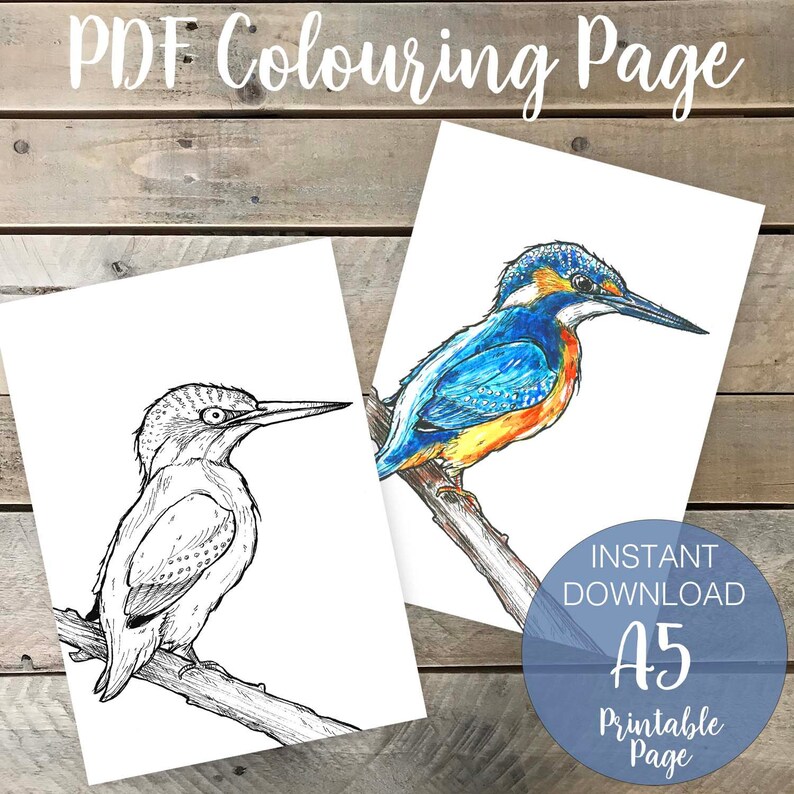 Kingfisher A5 Printable Coloring-in Sheet for Adults British | Etsy