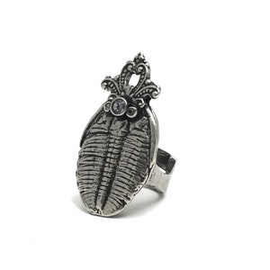 Trilobite Ring. Fossil Ring. Trilobite Fossil Ring. Trilobite. Fossil ...