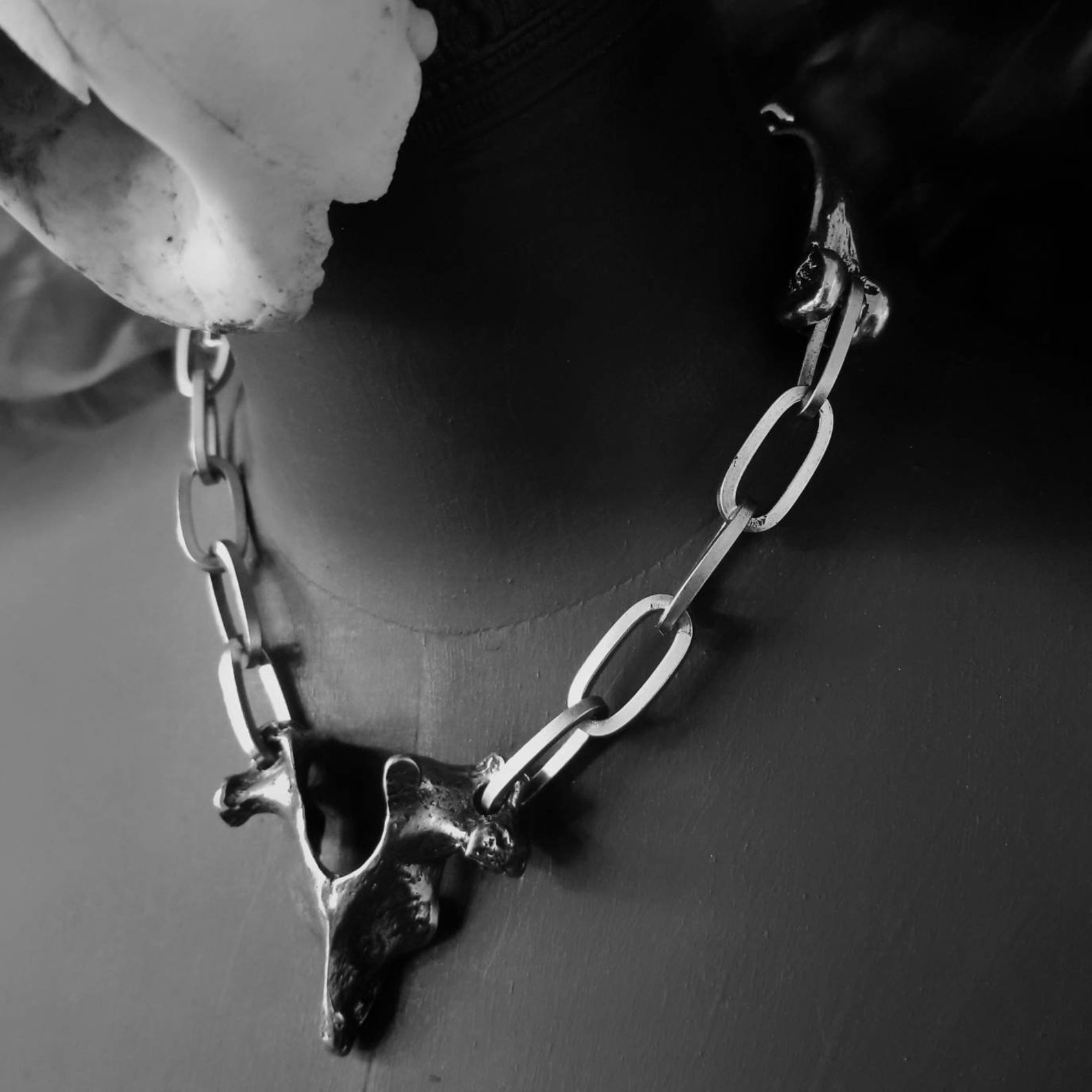 Vertebra Collar. Bone Necklace. DVN - Etsy