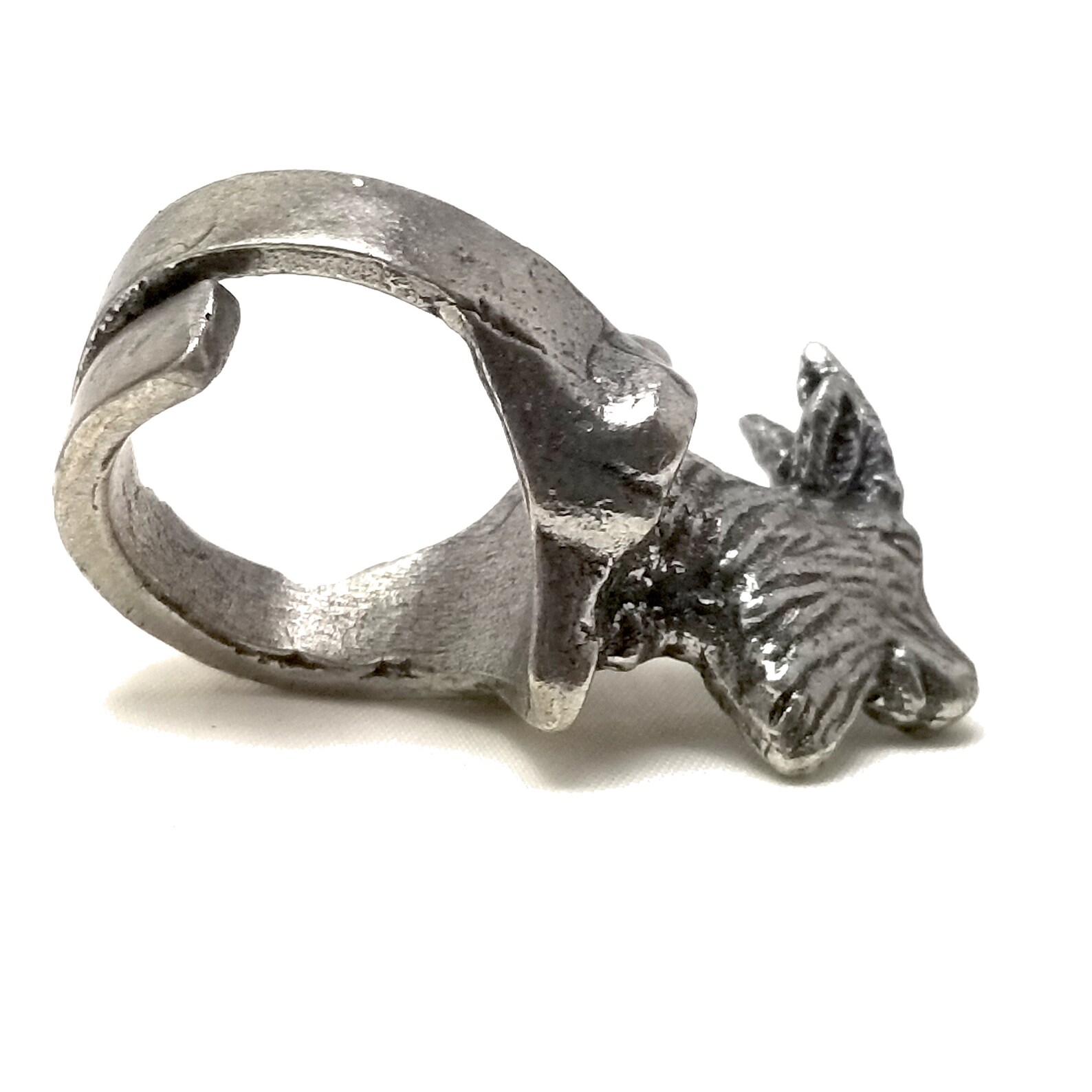 Goat Ring. Mounted Goat. Taxidermy. Gothic - Etsy