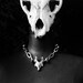 Vertebra Collar. Bone Necklace. DVN - Etsy