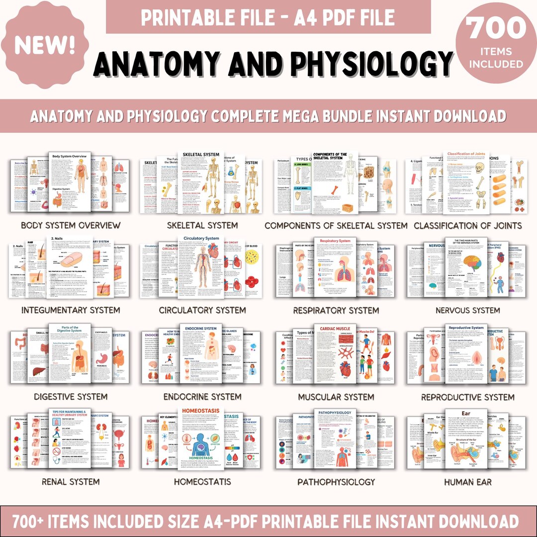 Anatomy and Physiology Notes Mega Bundle Human Anatomy | Nursing ...