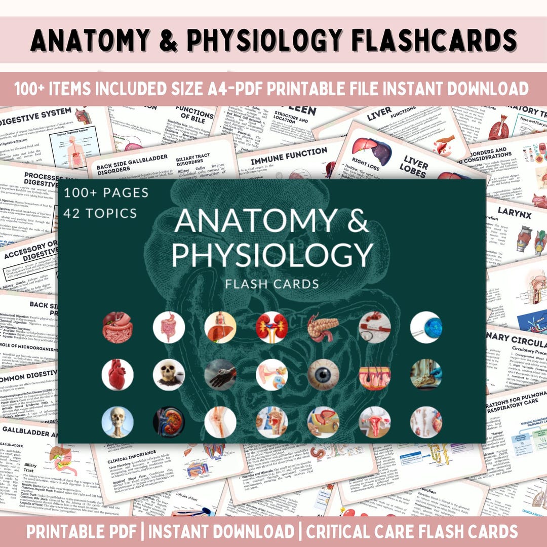 100+ Anatomy & Physiology Flash Cards, Nursing Notes Flashcards ...