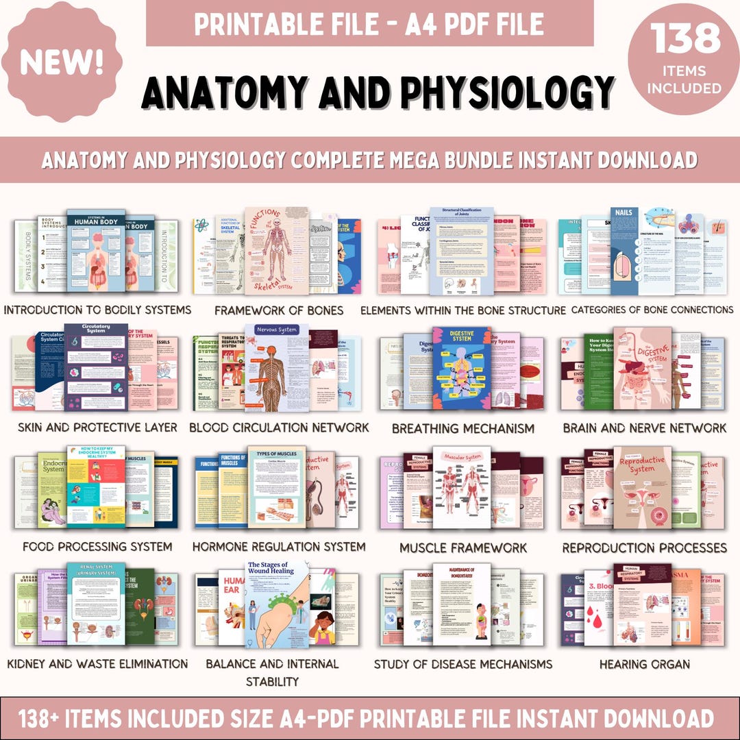 Anatomy and Physiology Mega Bundle | Human Anatomy for Nursing Students ...