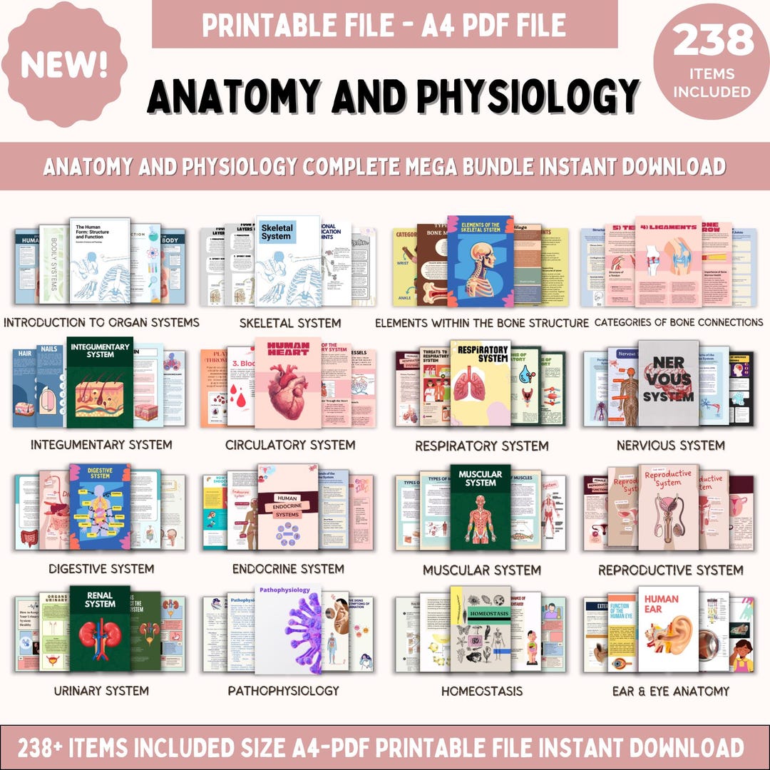 Anatomy and Physiology Mega Bundle | Human Anatomy for Nursing Students ...
