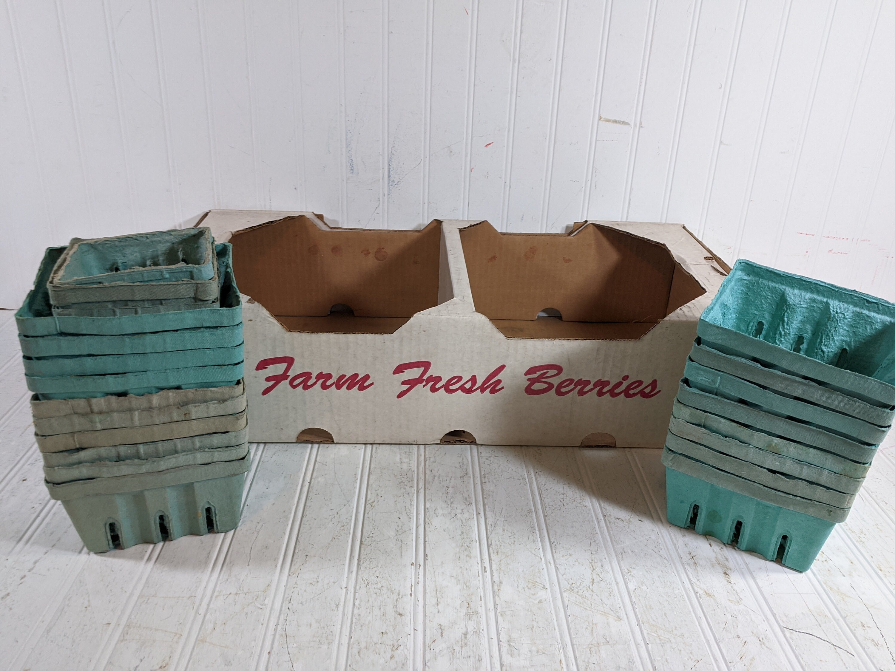 Berry Baskets Carrier Box Plus 21 Beri-gard Baskets in 3 Sizes Vintage ...