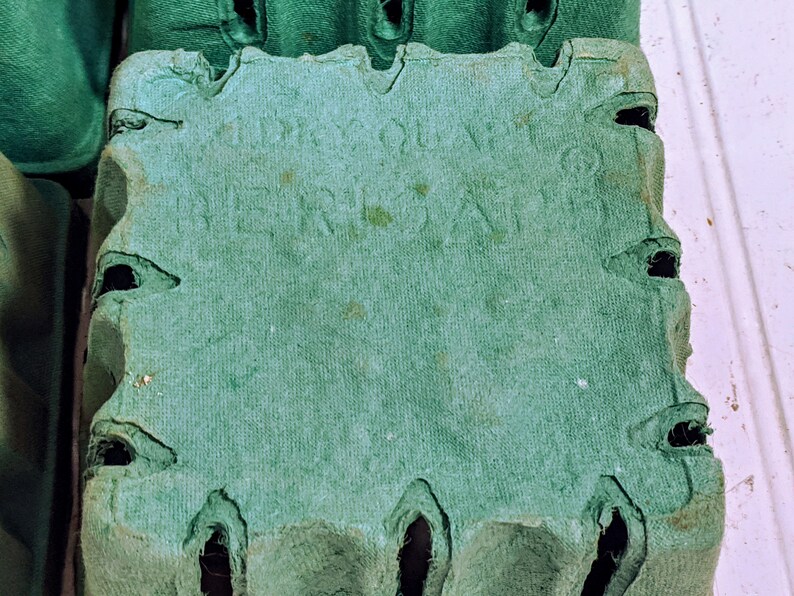 Berry Baskets Carrier Box Plus 21 Beri-gard Baskets in 3 Sizes - Etsy