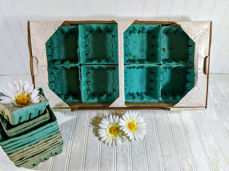 Berry Baskets Carrier Box Plus 21 Beri-gard Baskets in 3 Sizes - Etsy