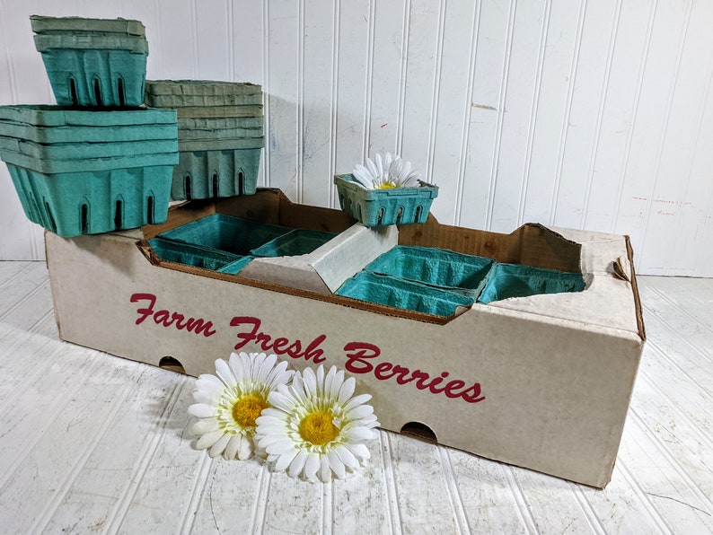 Berry Baskets Carrier Box Plus 21 Beri-gard Baskets in 3 Sizes - Etsy