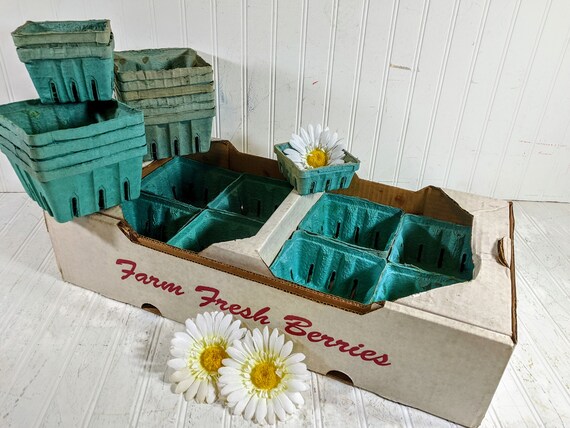 Berry Baskets Carrier Box Plus 21 Beri-gard Baskets in 3 Sizes | Etsy