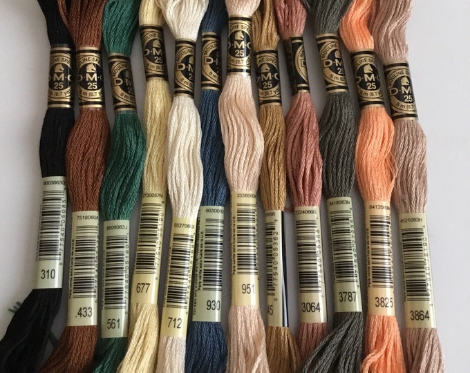 DMC Floss Assortment 12 Pack Embroidery Thread (3864G) - Etsy