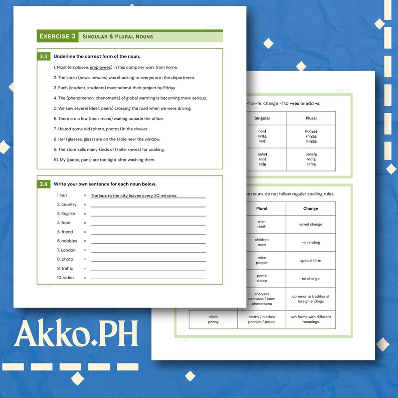 Singular and Plural Nouns Worksheet for Adults | ESL Grammar Practice ...