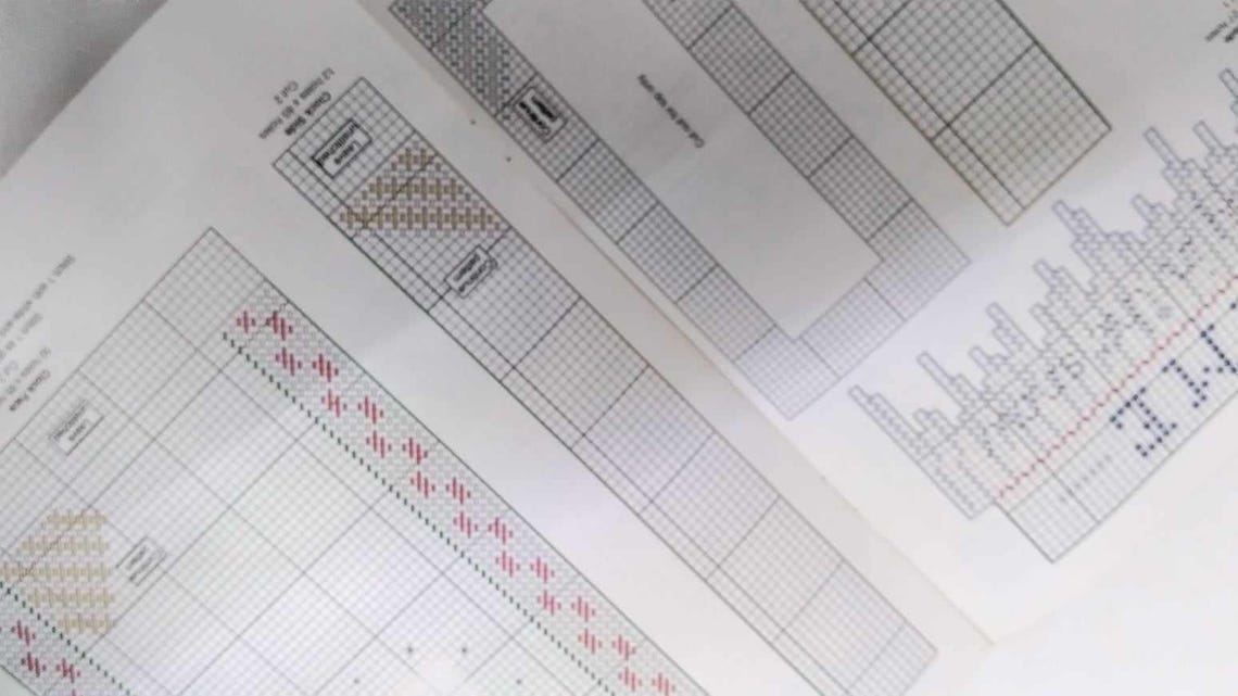 Vintage Plastic Canvas Bouncing Bugs Fun Pattern Book - Etsy