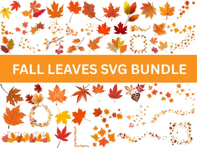 Fall Leaves SVG Bundle: Autumn Leaf Clipart (digital Download) - Etsy