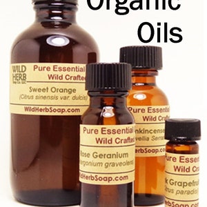 OCEAN MIST Premium Fragrance Oil Use in Perfume, Body Oil, Lotion, Soap ...