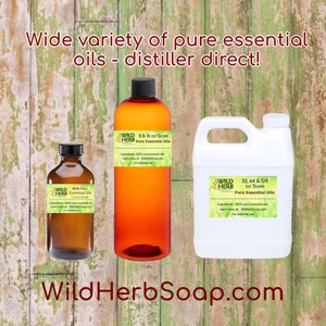 ORGANIC CARROT SEED Oil: Pure, Full Strength Essential Oil Imported ...