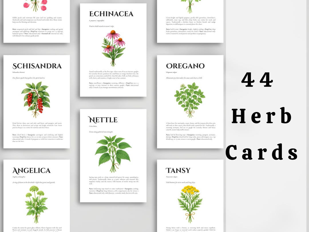 44 Botanical Herb Cards — Printable Apothecary & Materia Medica Cards ...