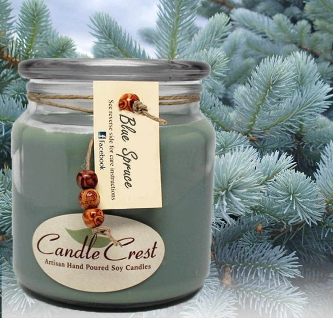 Blue Spruce Soy Candle the Perfect Holiday Fragrance Scented Soy ...