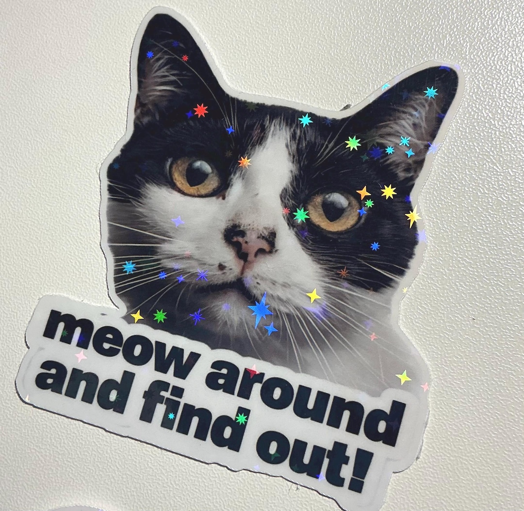 Cat Attitude Sticker| Funny Pet Quote| “meow Around and Find Out ...