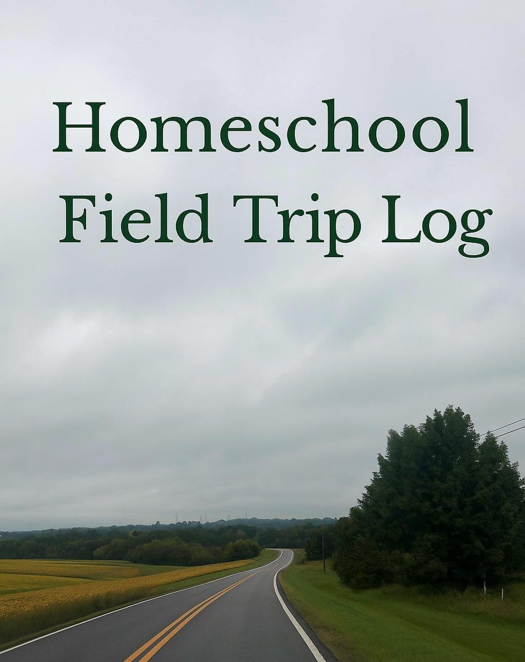 Homeschool Field Trip Log | Printable Trip Planning & Reflection Pages ...